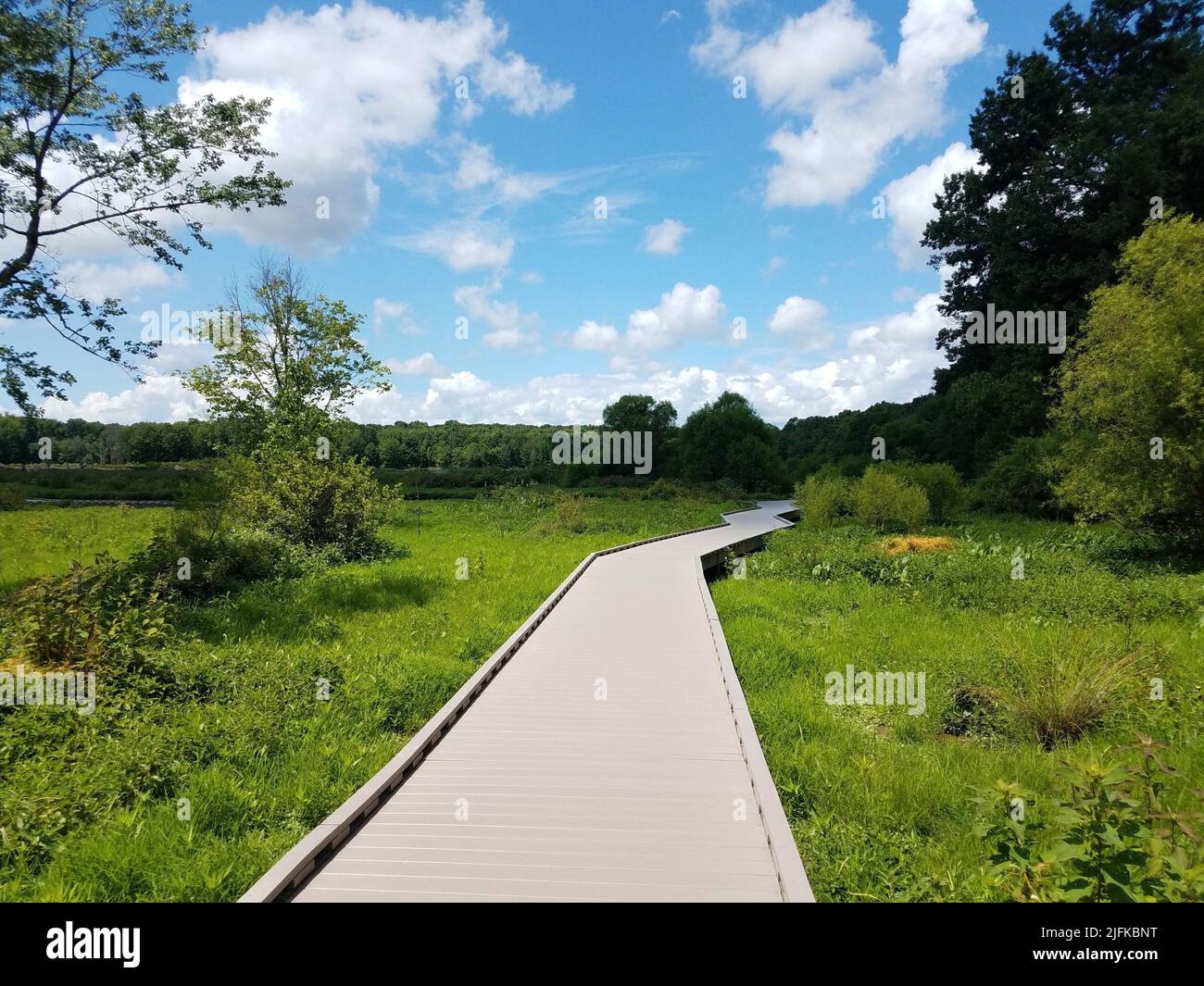 Wetland path hi-res stock photography and images - Alamy