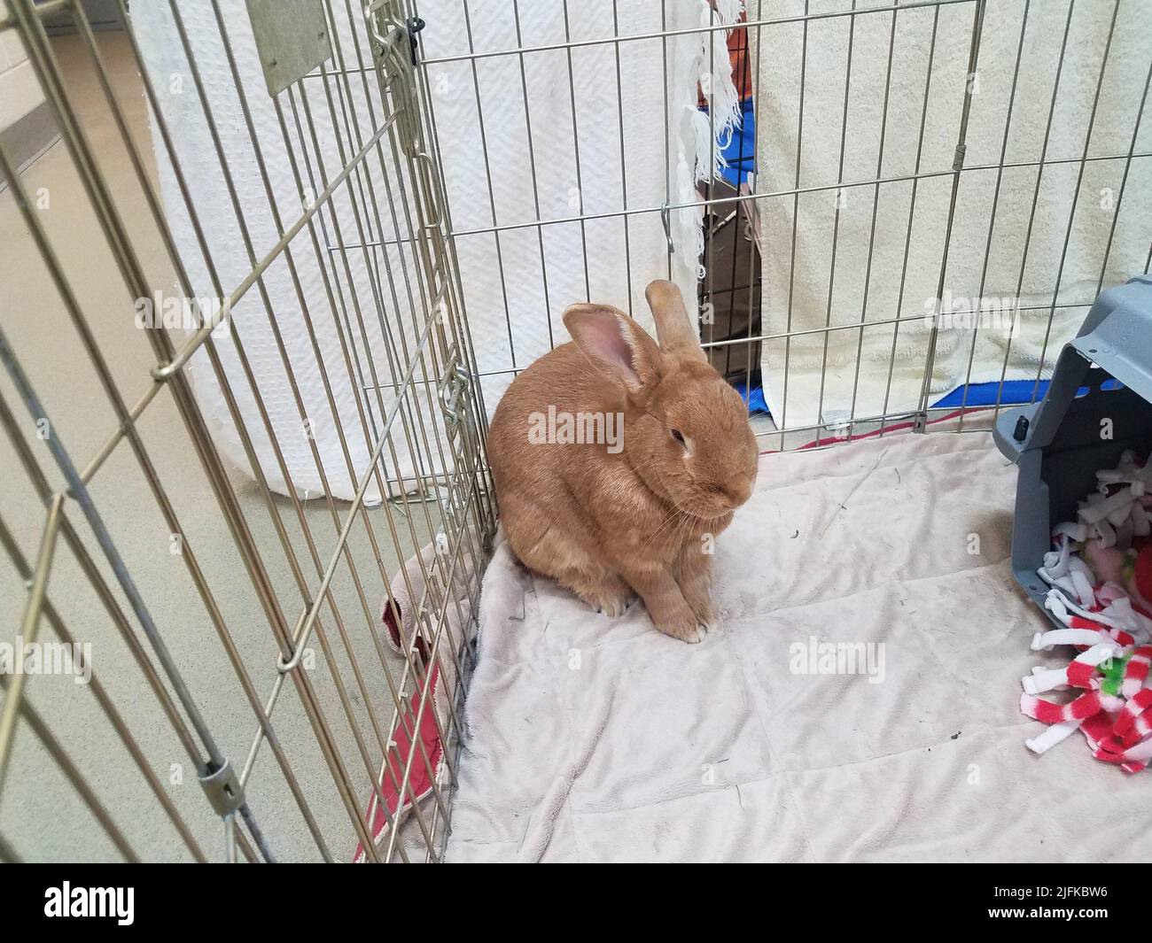 Metal cage hi-res stock photography and images - Alamy