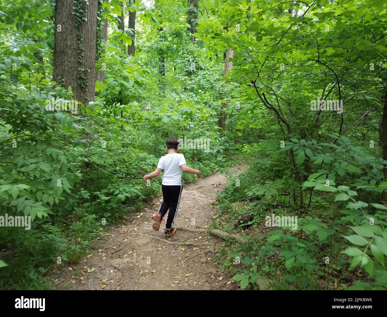 boy child walking on trail or path in woods or forest Stock Photo - Alamy