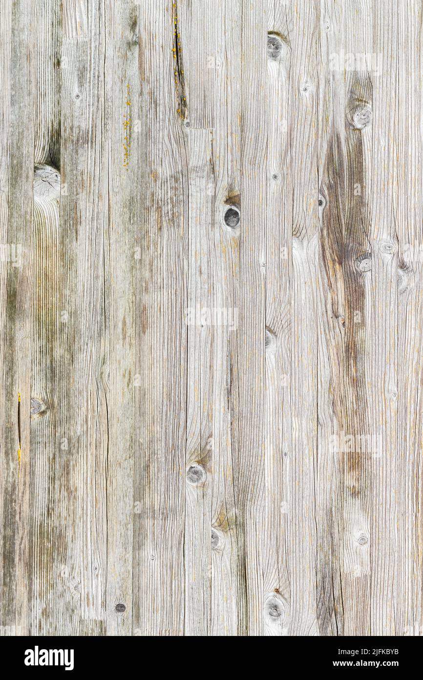 Light wood panel. Ideal for texture and background Stock Photo - Alamy