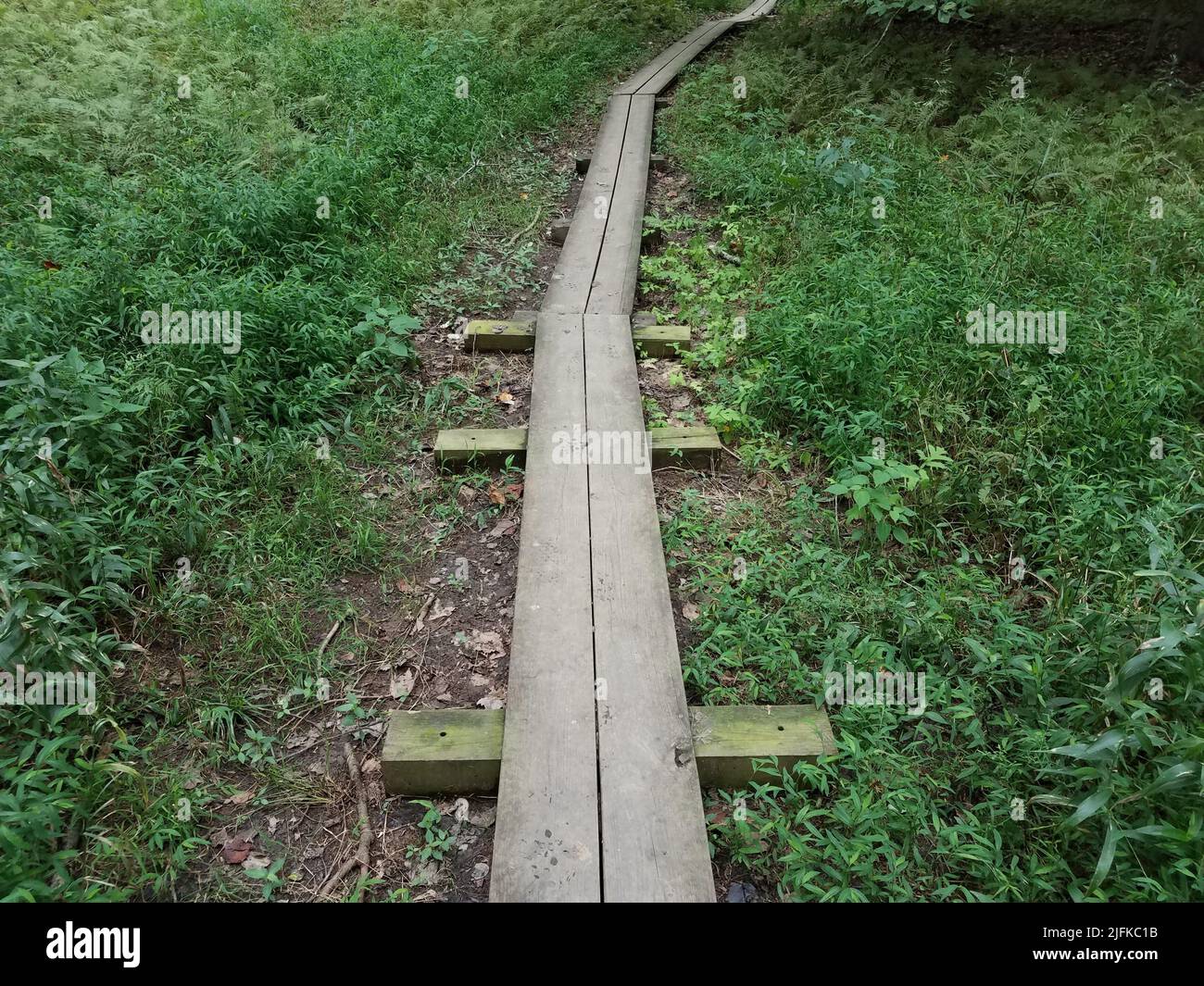 Wood wooden boardwalk hi-res stock photography and images - Alamy