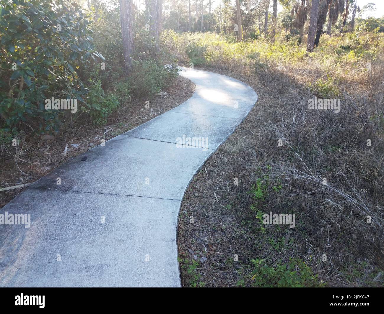 Cement tree hi-res stock photography and images - Alamy
