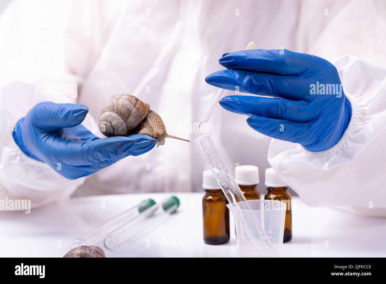 A scientist in a protective suit with a snail in his hands. Study of ...
