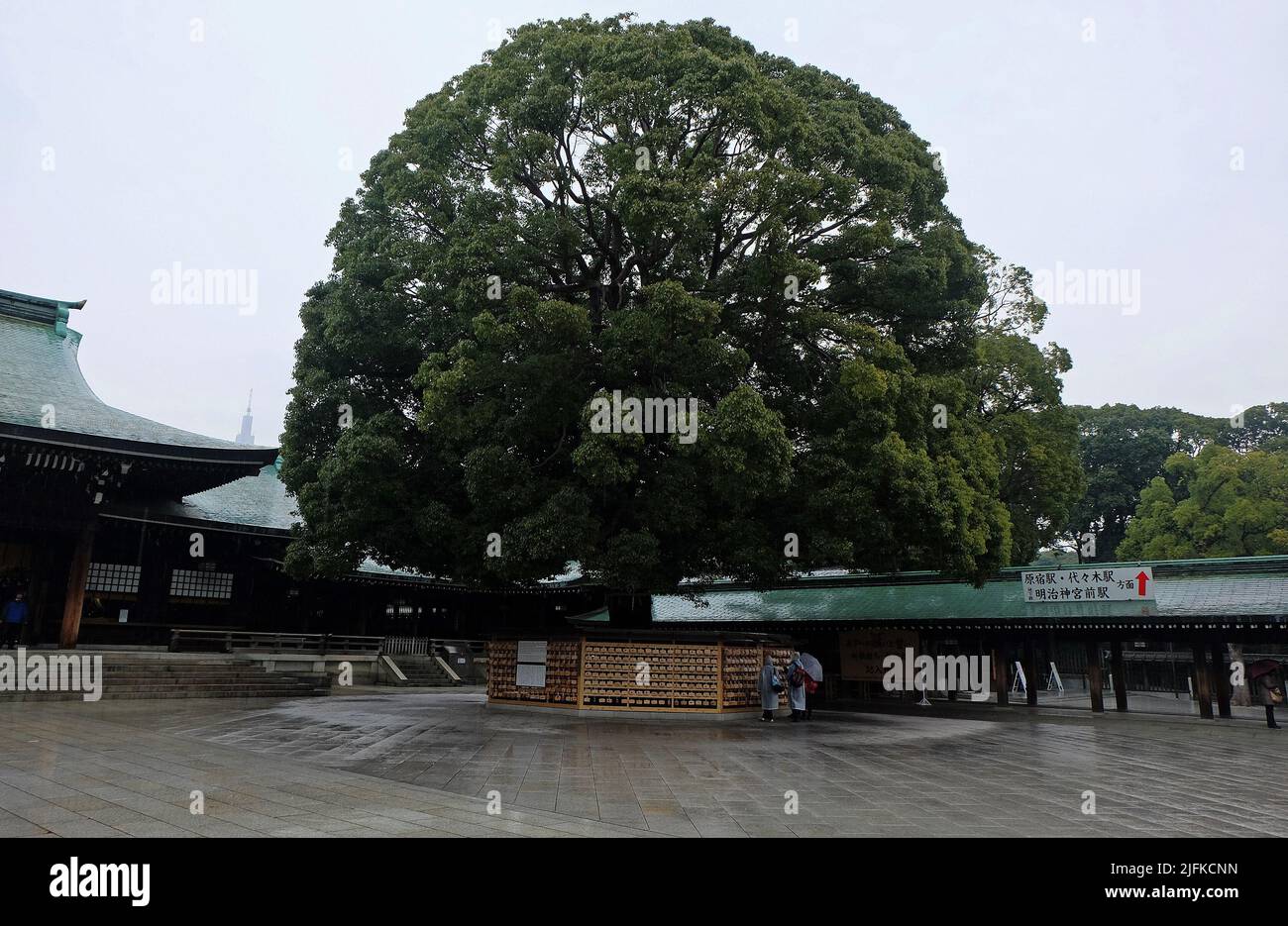Exterior architecture and building design at Meiji Jingu Shinto Shrine ...