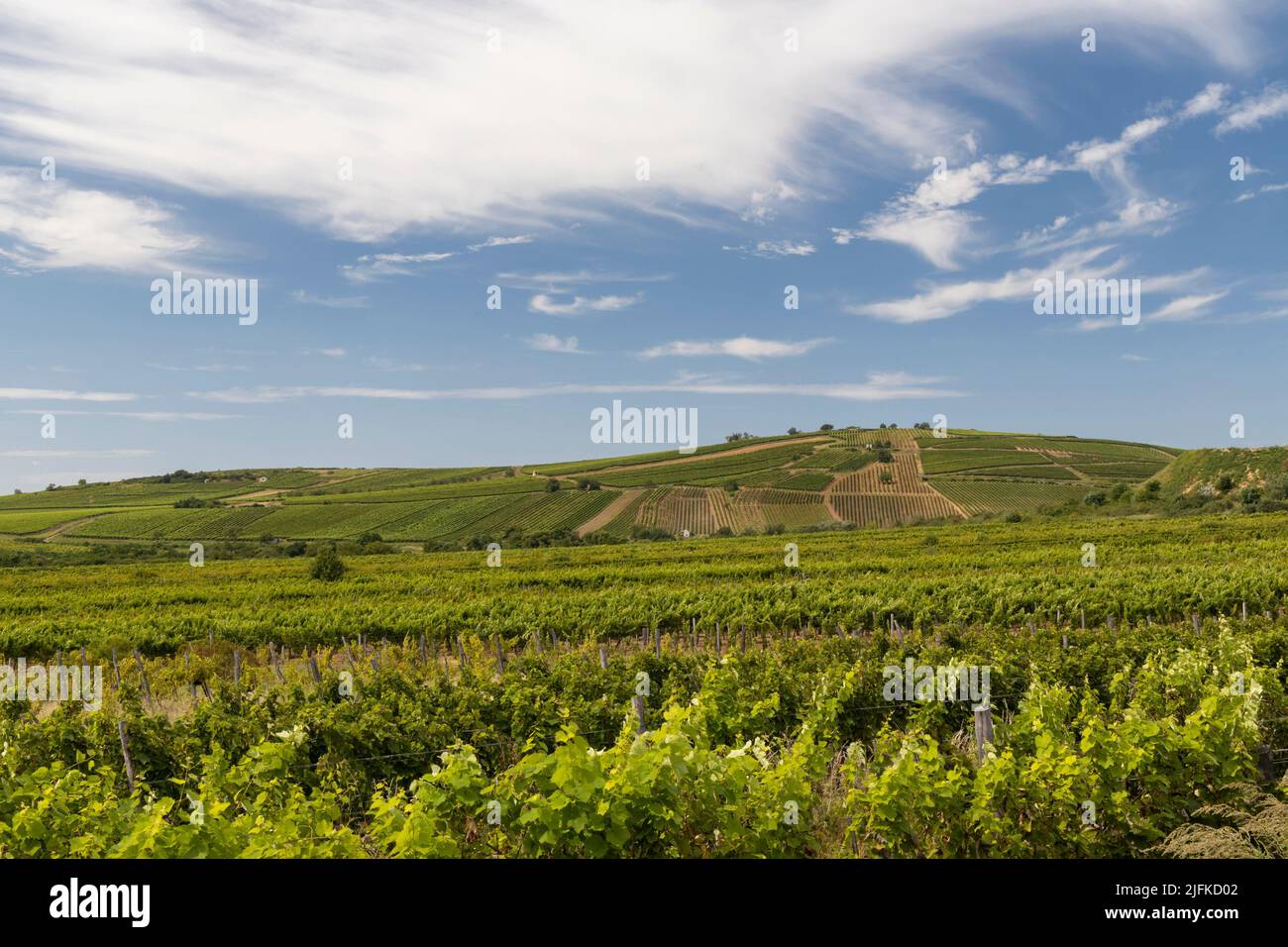Tokaj hungary unesco hi-res stock photography and images - Alamy