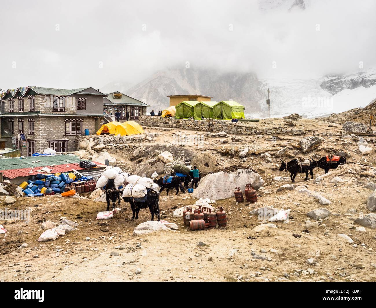 Yak train at Gorak Shep (5130m), Khumbu Stock Photo - Alamy