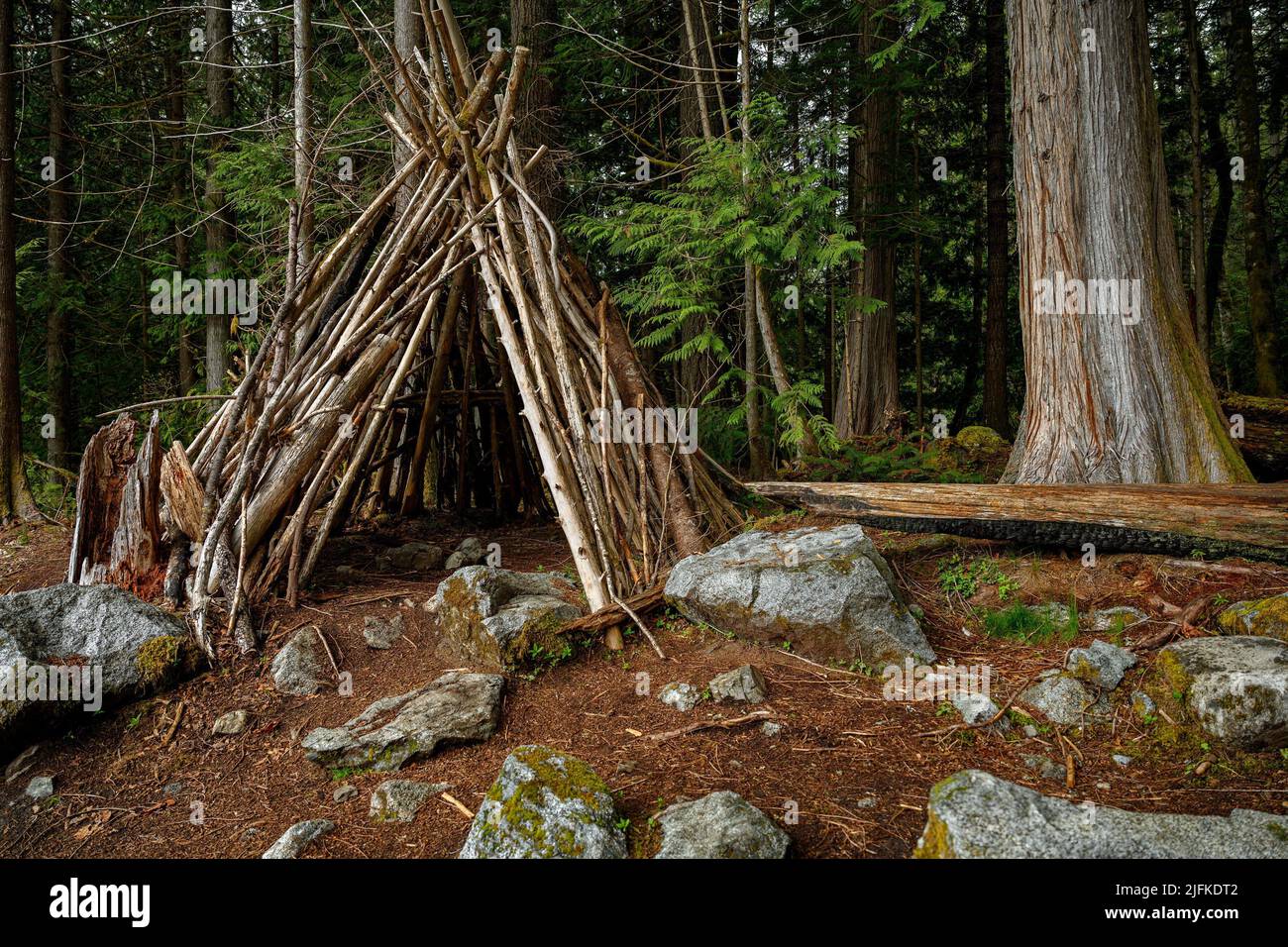 Log shelter hi-res stock photography and images - Alamy