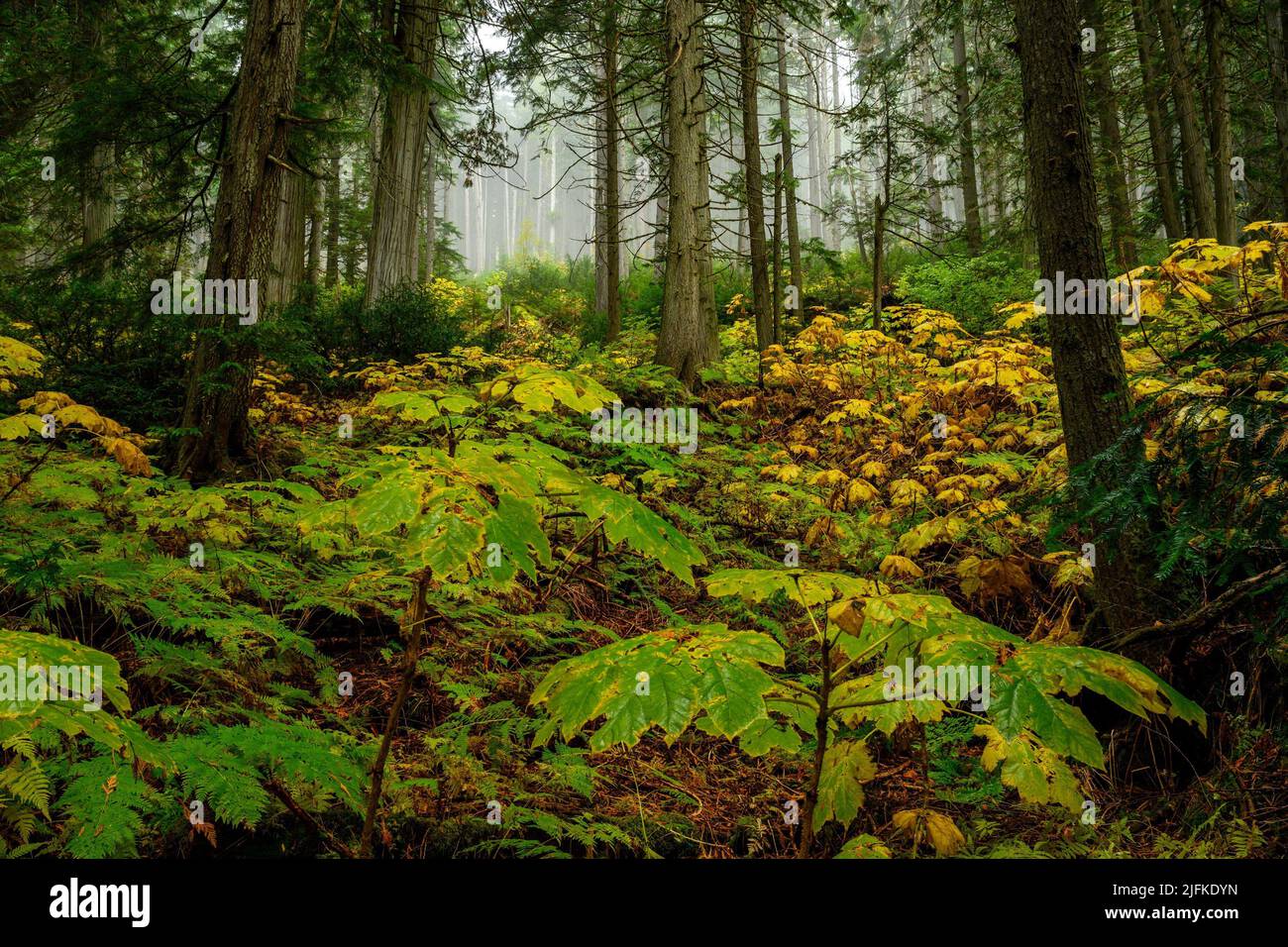 Devils mount hi-res stock photography and images - Alamy
