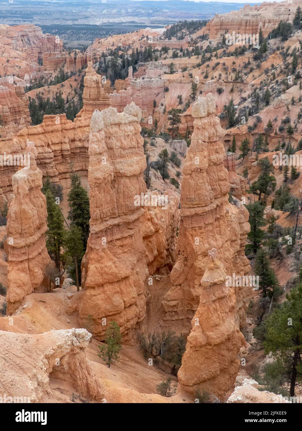 Bryce Canyon NP in Utah: the canyon from Fairyland Point Stock Photo ...