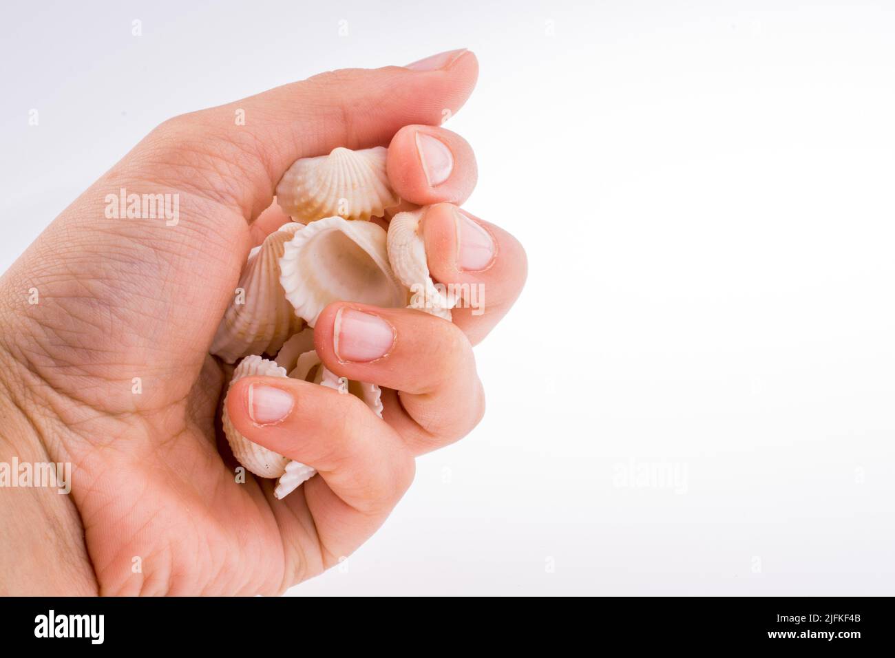 Hand holding seashell hi-res stock photography and images - Alamy