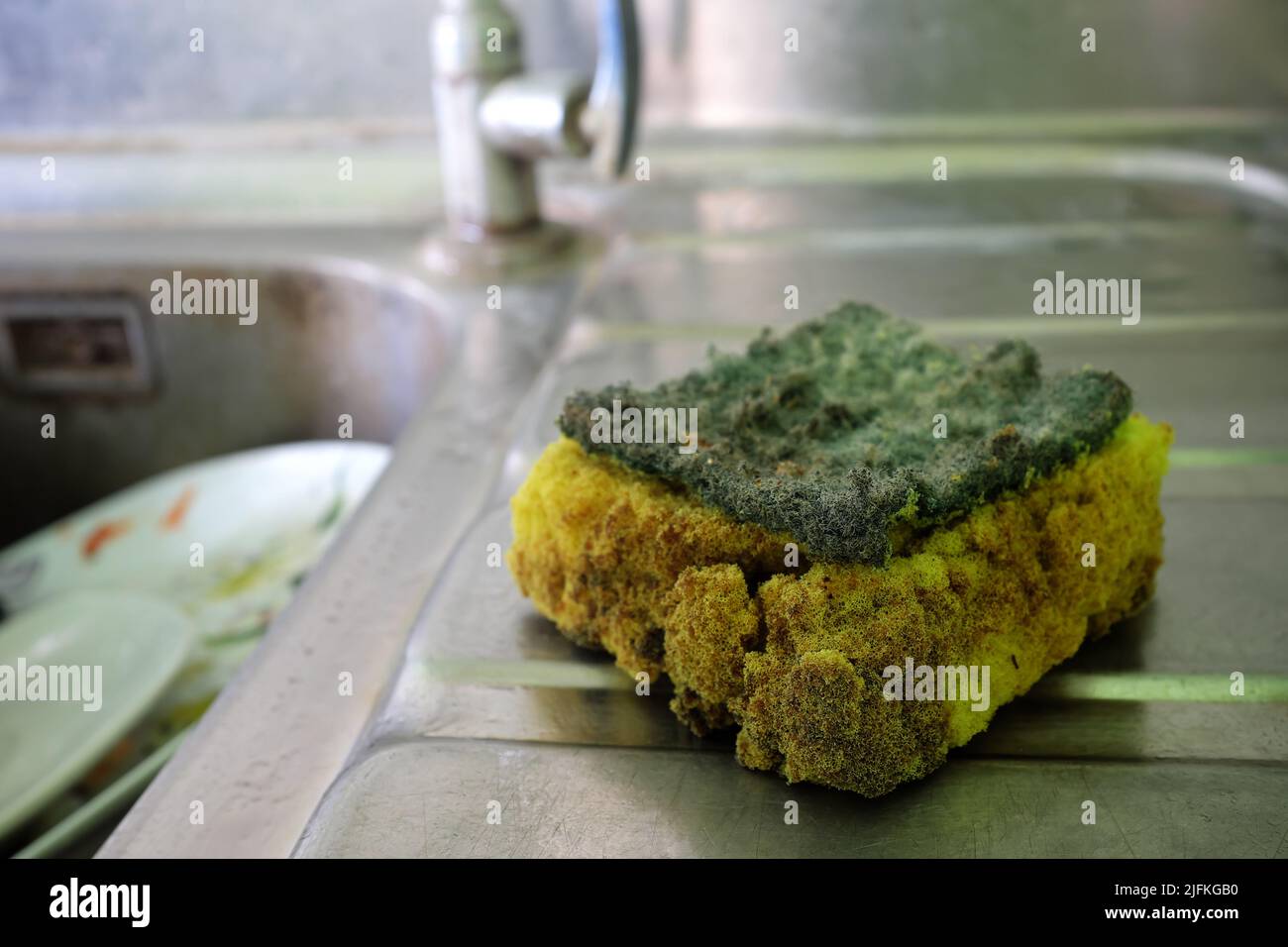 Smelly dish sponge store
