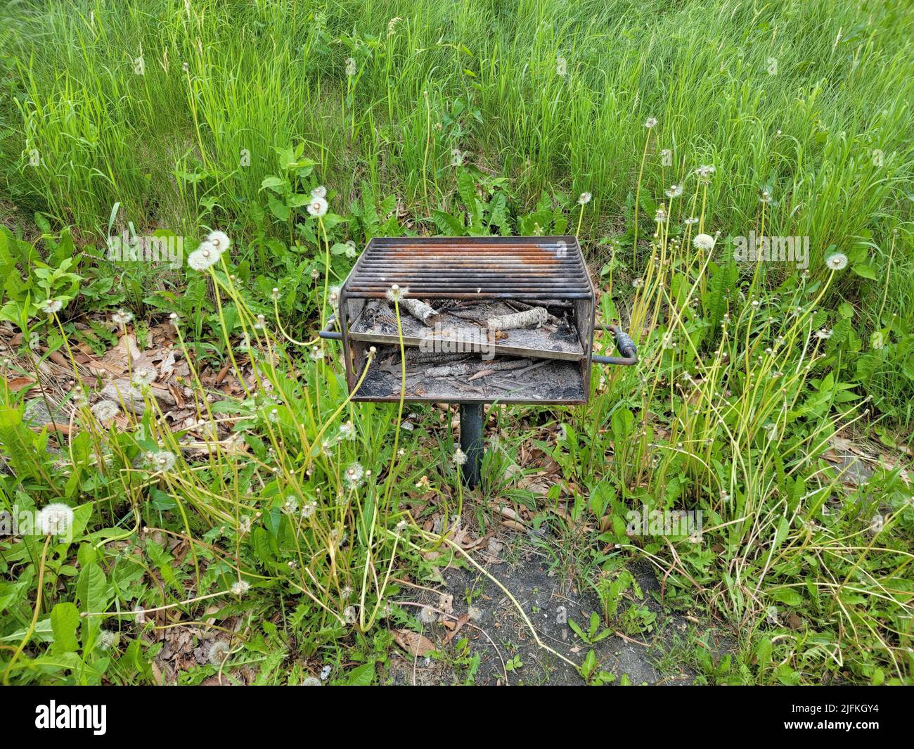 Green grill hi-res stock photography and images - Alamy