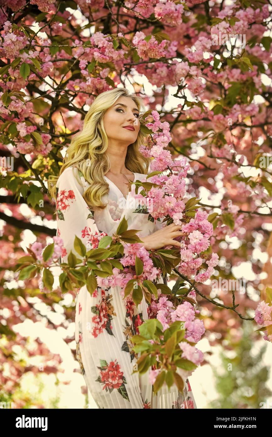 Harmony and female energy. Cherry tree. Good vibes. Floral aroma ...