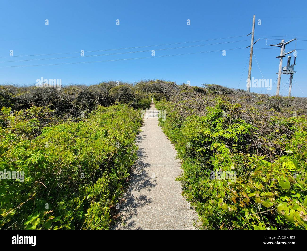 Sky and flora hi-res stock photography and images - Alamy
