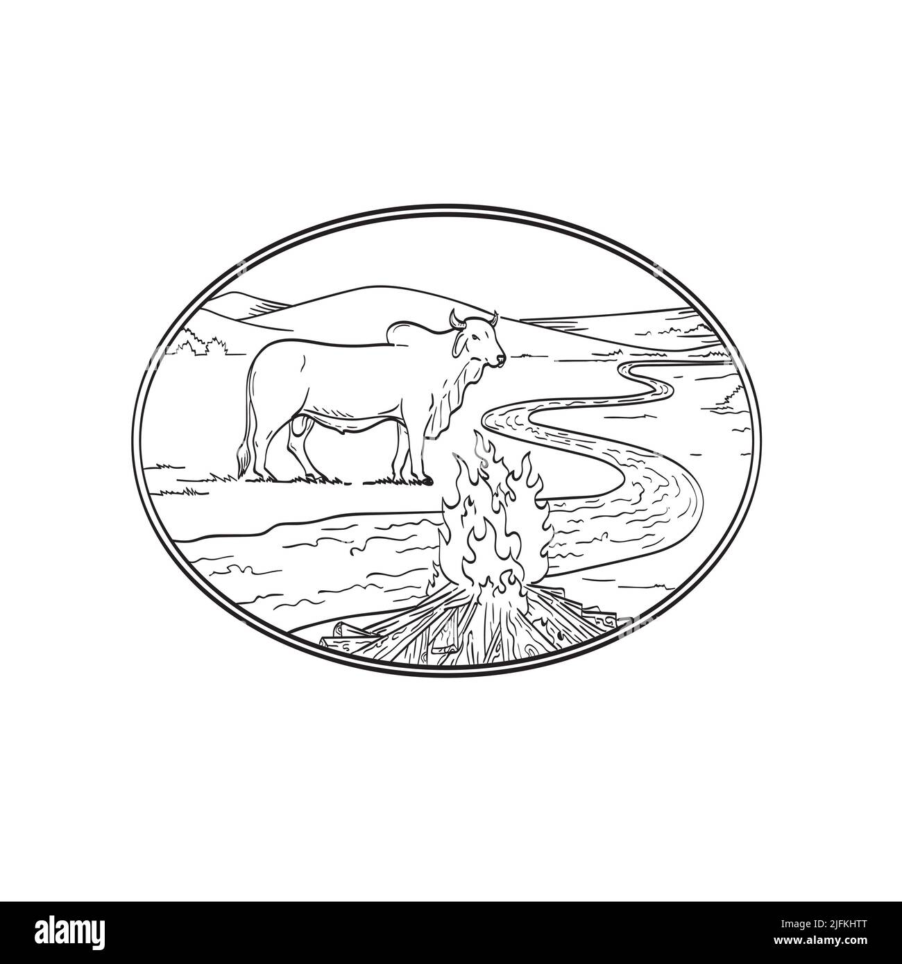 Brahman breed of cattle Cut Out Stock Images & Pictures - Alamy