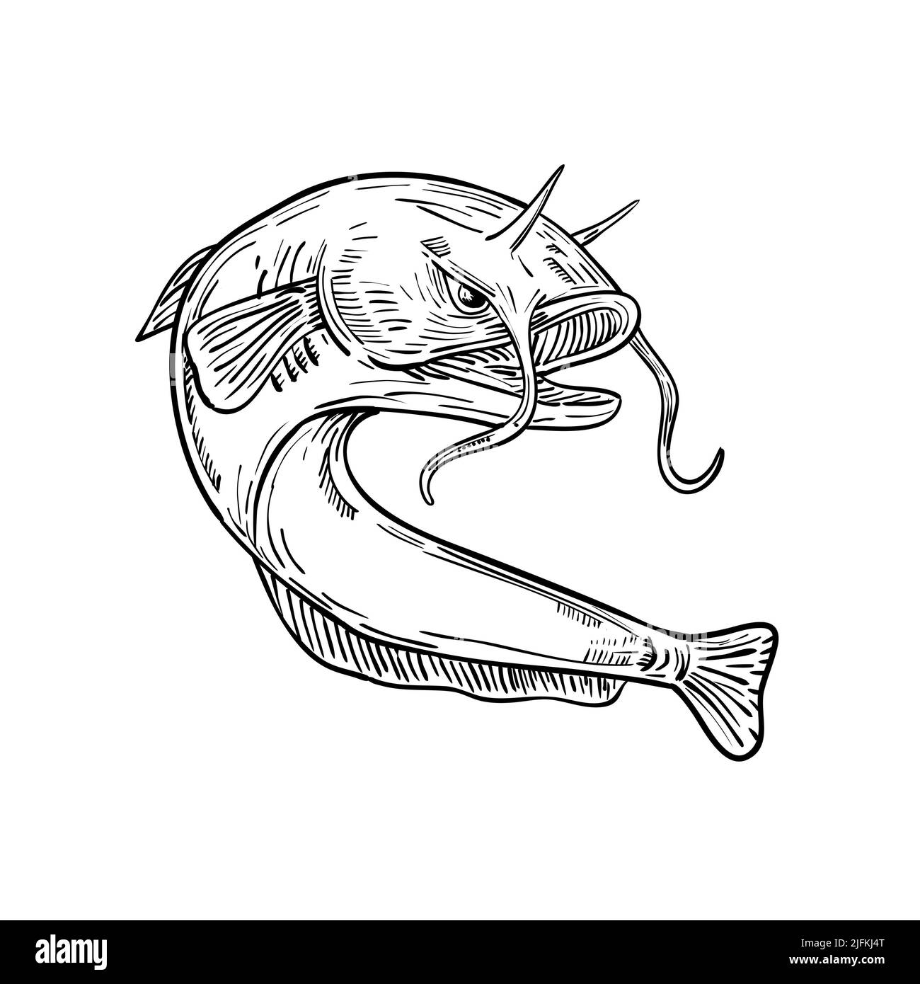 Devil catfish hi-res stock photography and images - Alamy