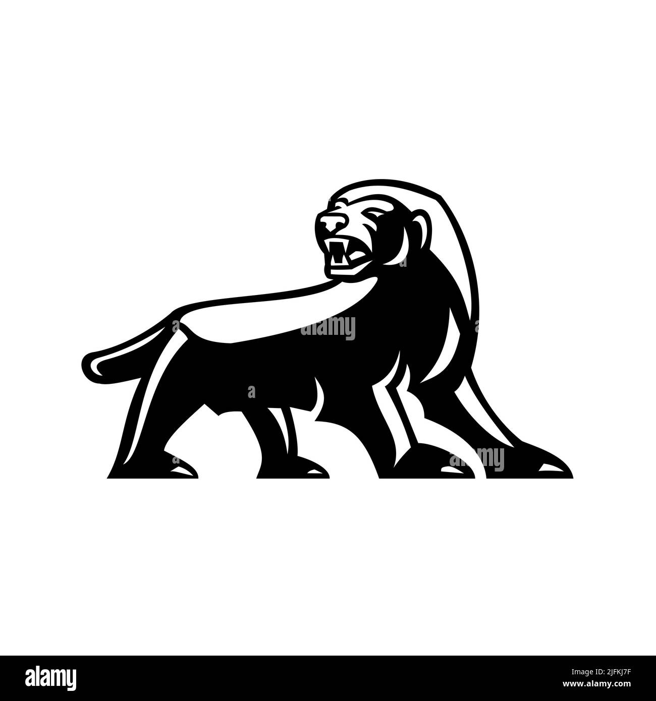 Angry honey badger hi-res stock photography and images - Alamy