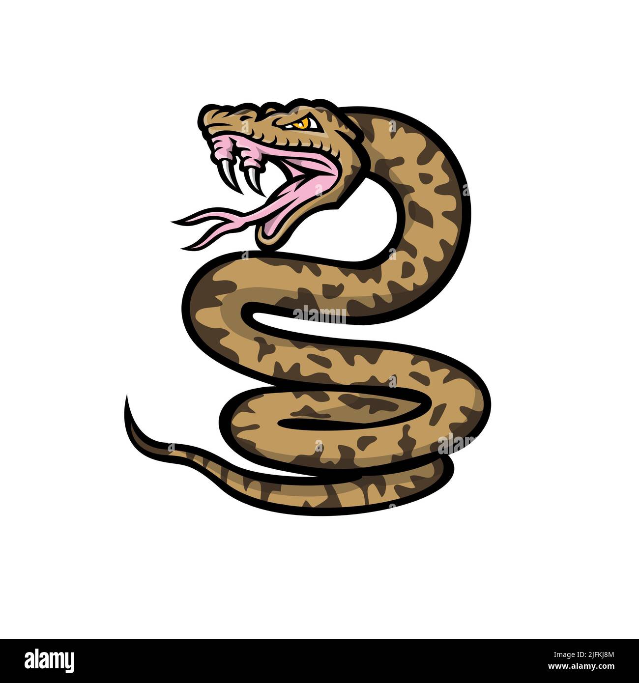 Habu snake Cut Out Stock Images & Pictures - Alamy