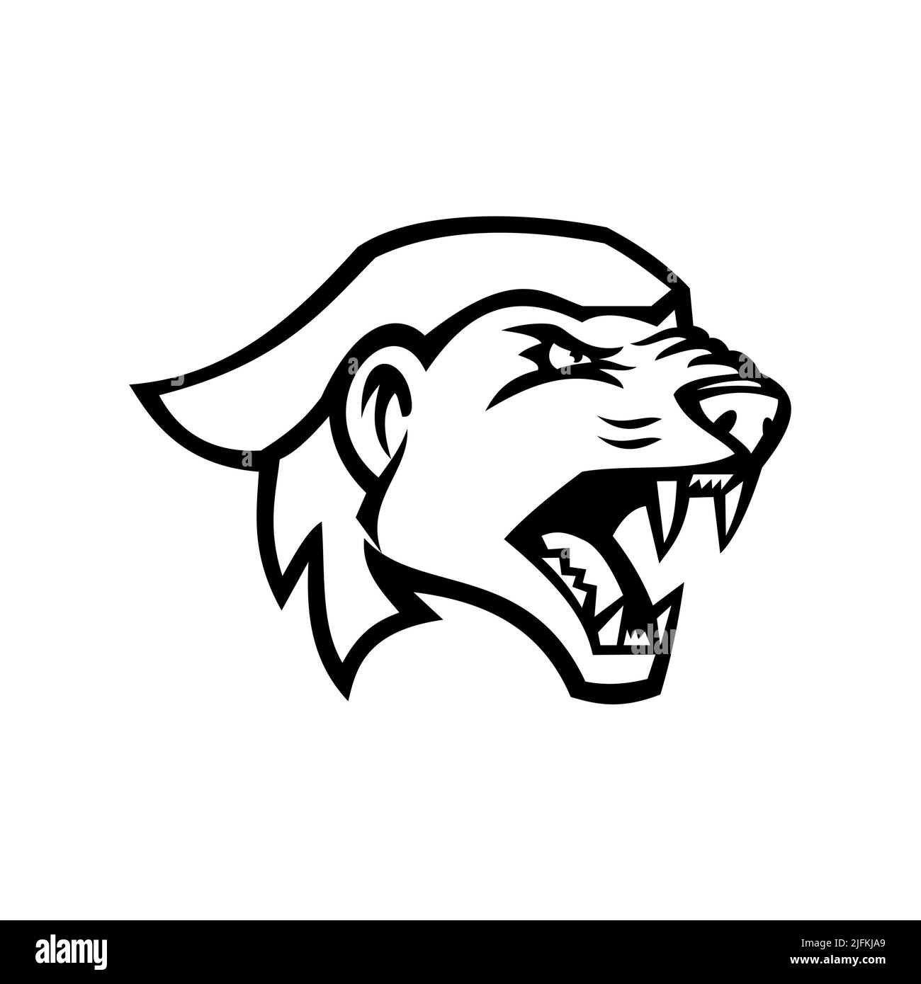 Angry honey badger hi-res stock photography and images - Alamy