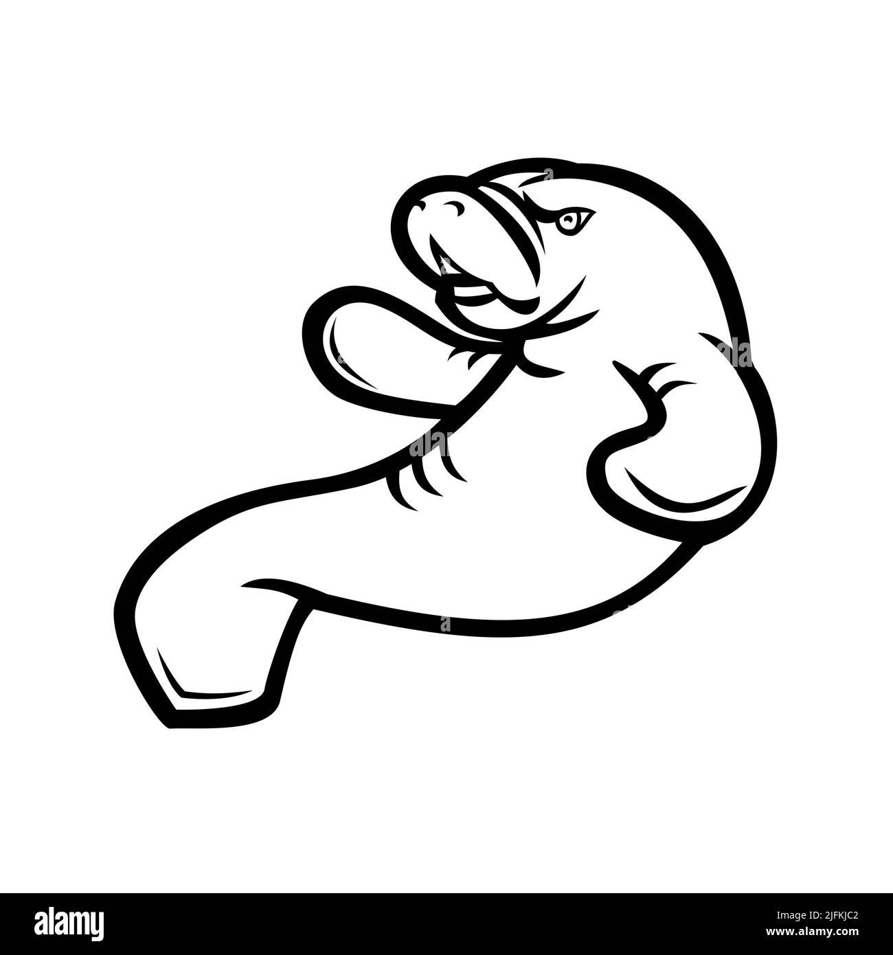 West Indian Manatee Drawing