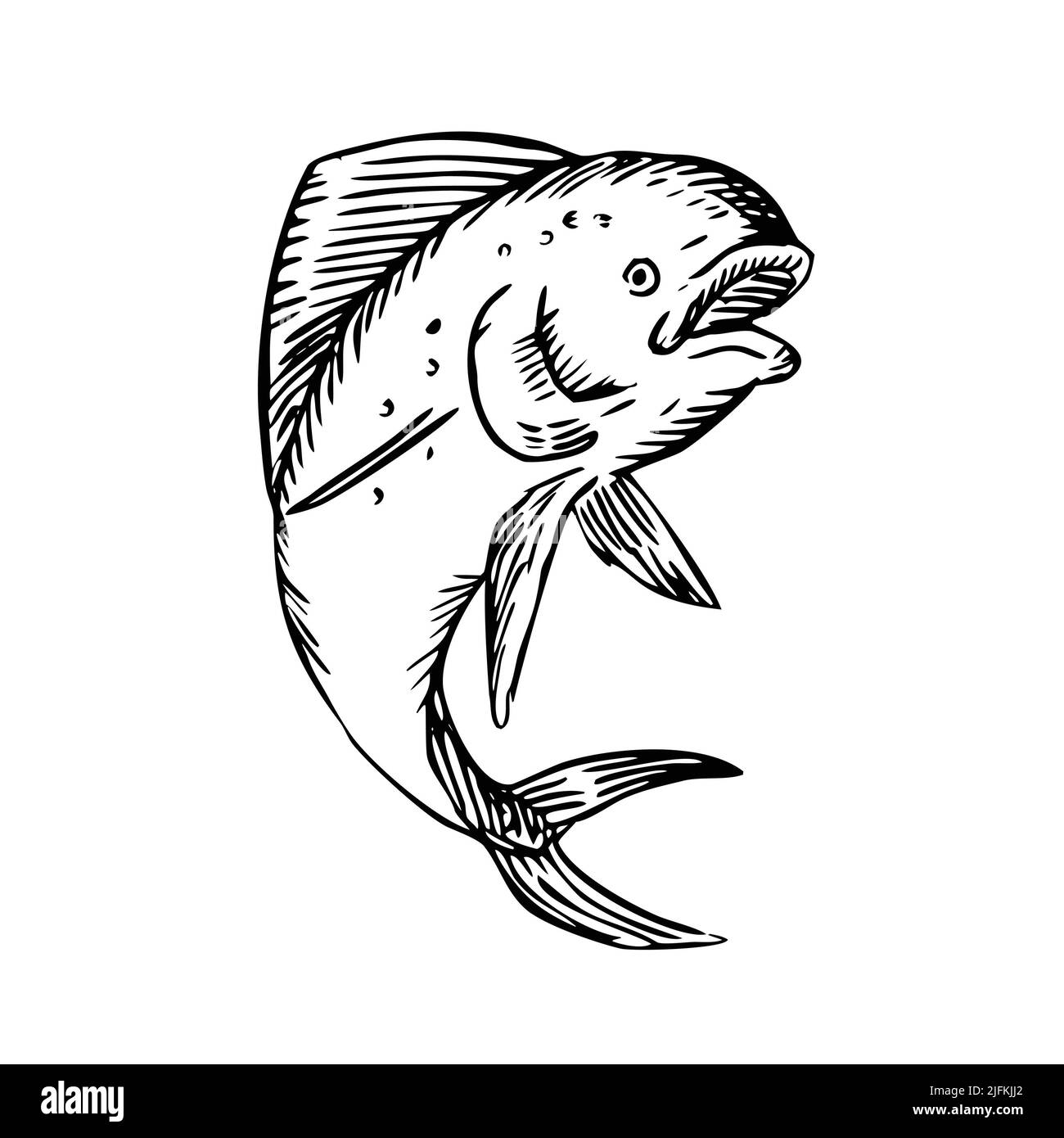 Black and white dolphin etching hi-res stock photography and images - Alamy