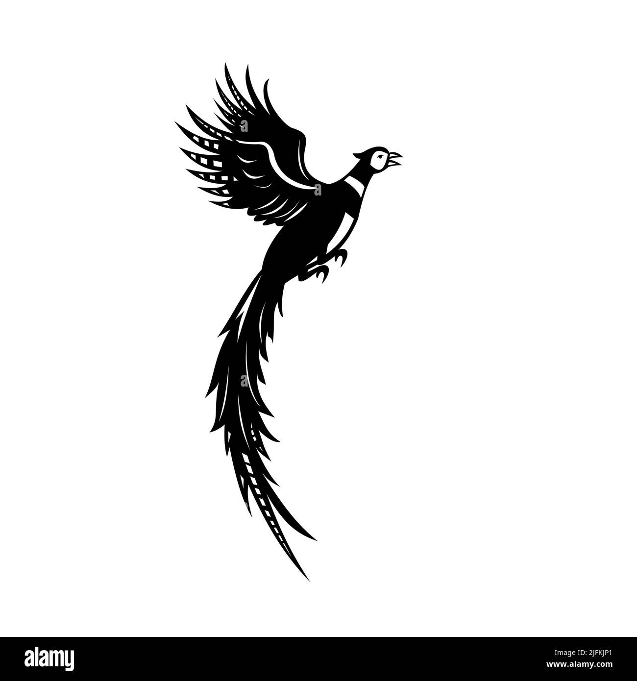 Flying Pheasant Drawing