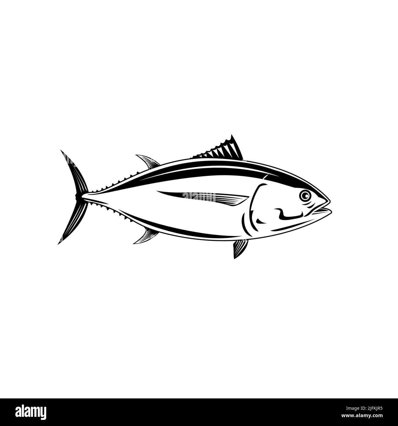 Longfin tuna alalunga Cut Out Stock Images & Pictures - Alamy