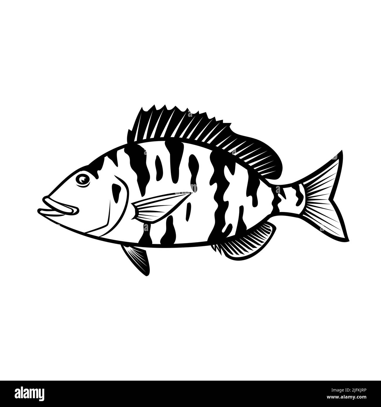 Grunt Black and White Stock Photos & Images - Alamy