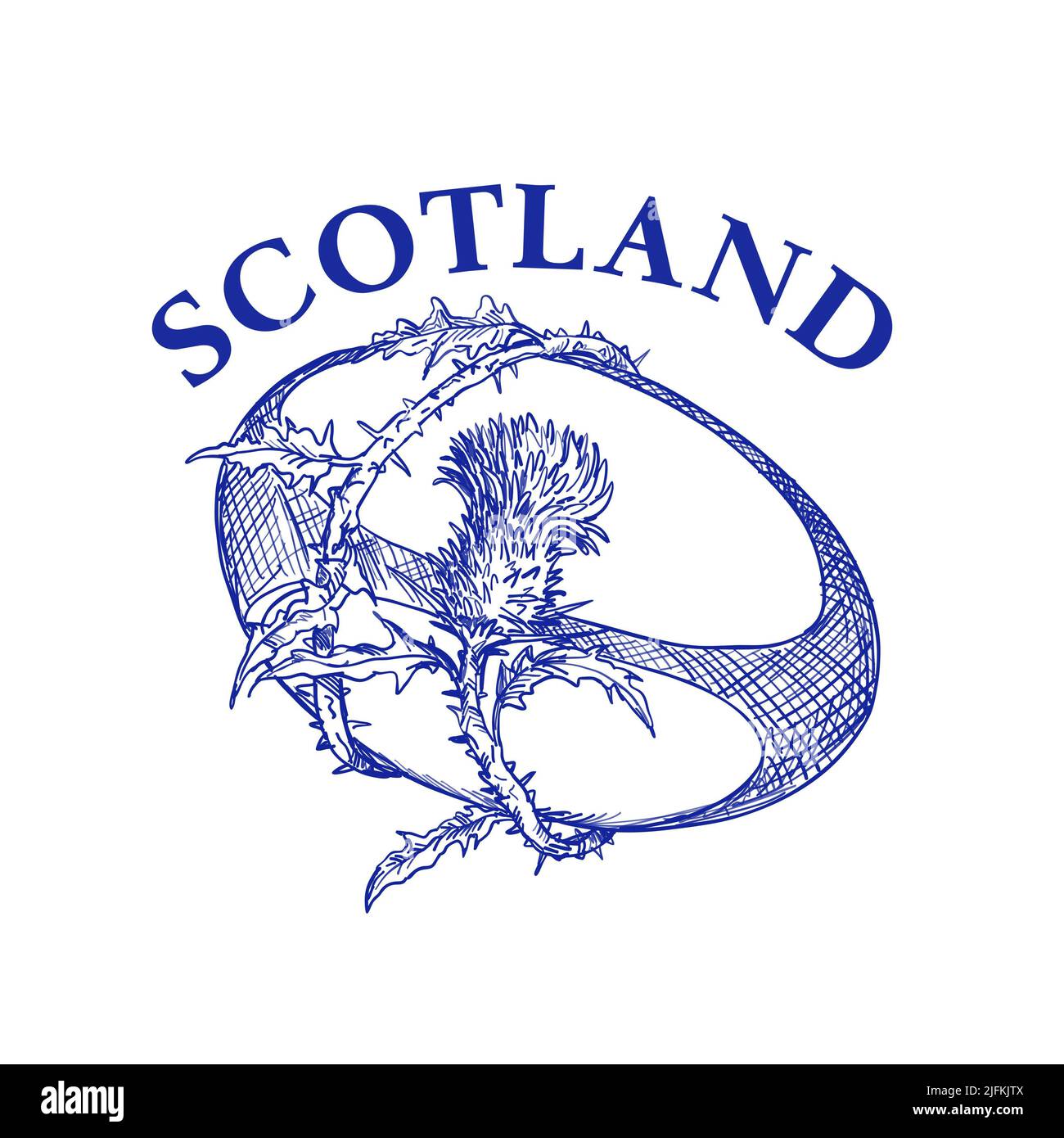 Scottish thistle drawing hi-res stock photography and images - Alamy