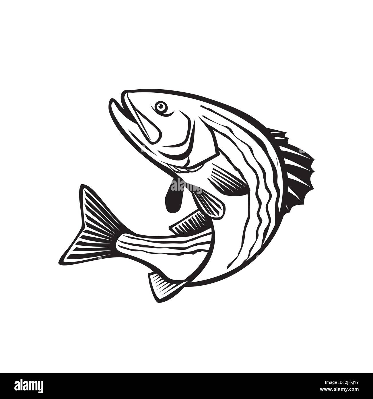 How to striper fish hi-res stock photography and images - Alamy