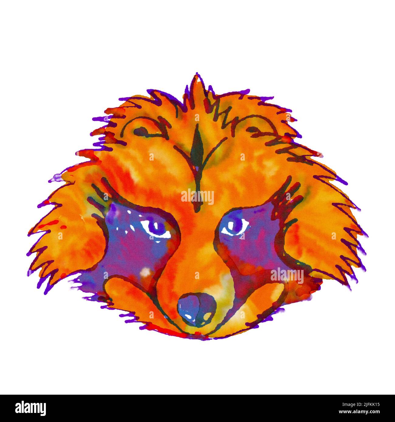 Asian raccoon dog hi-res stock photography and images - Alamy