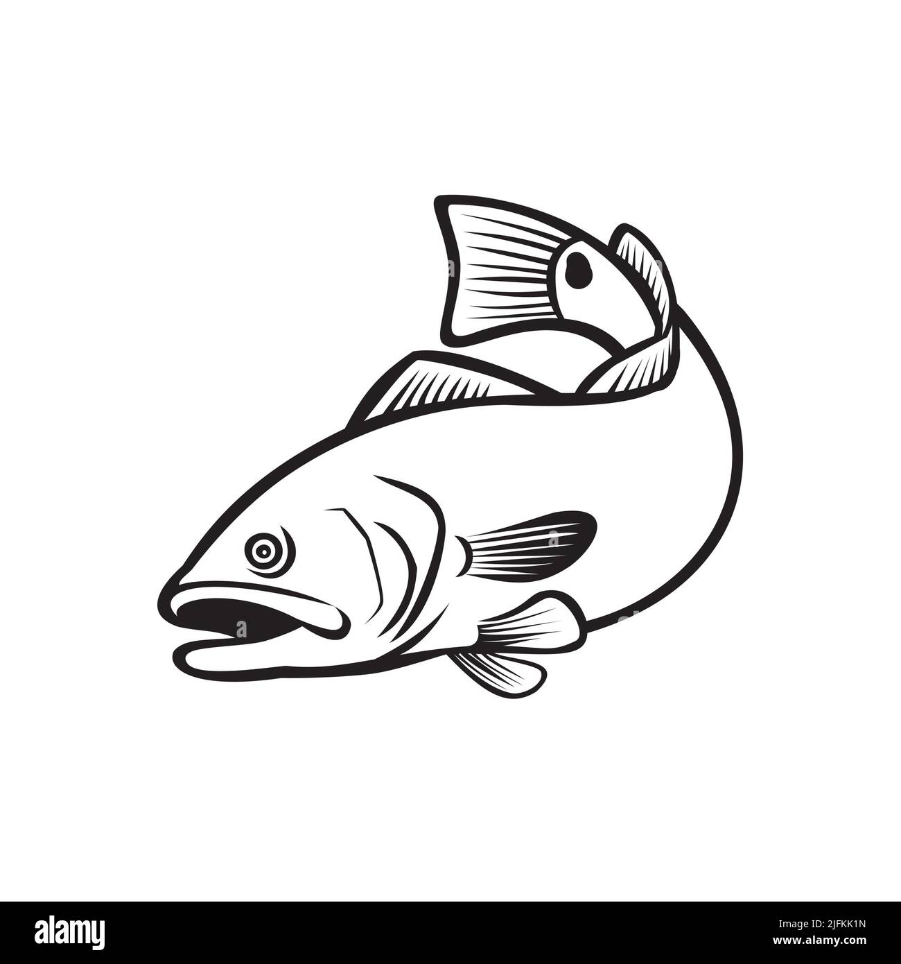 Black drum fish Cut Out Stock Images & Pictures - Alamy