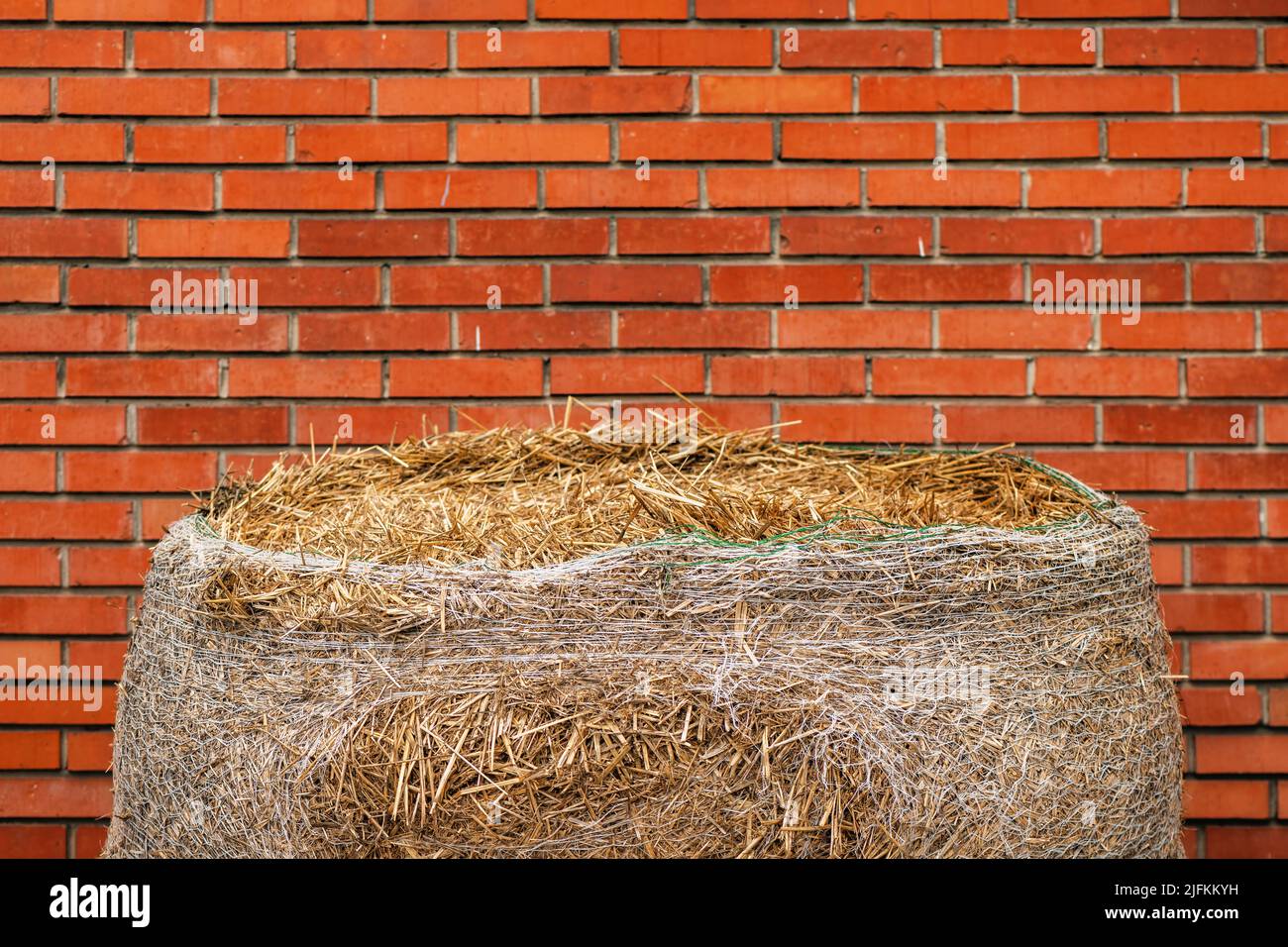 Hay bale against red brick wall on the ranch, agriculture and farming ...