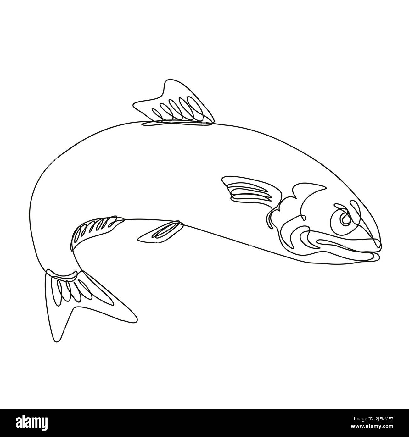 Sardine Drawing