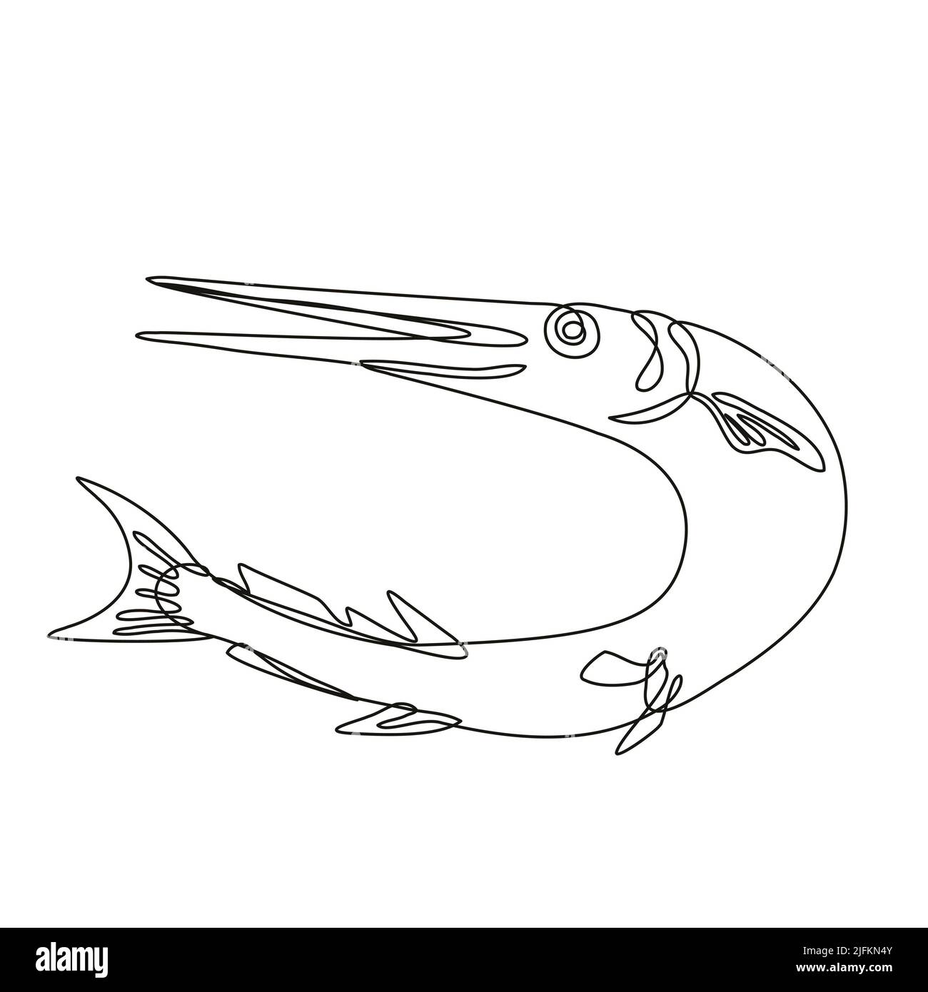 Needlefish jumping hi-res stock photography and images - Alamy