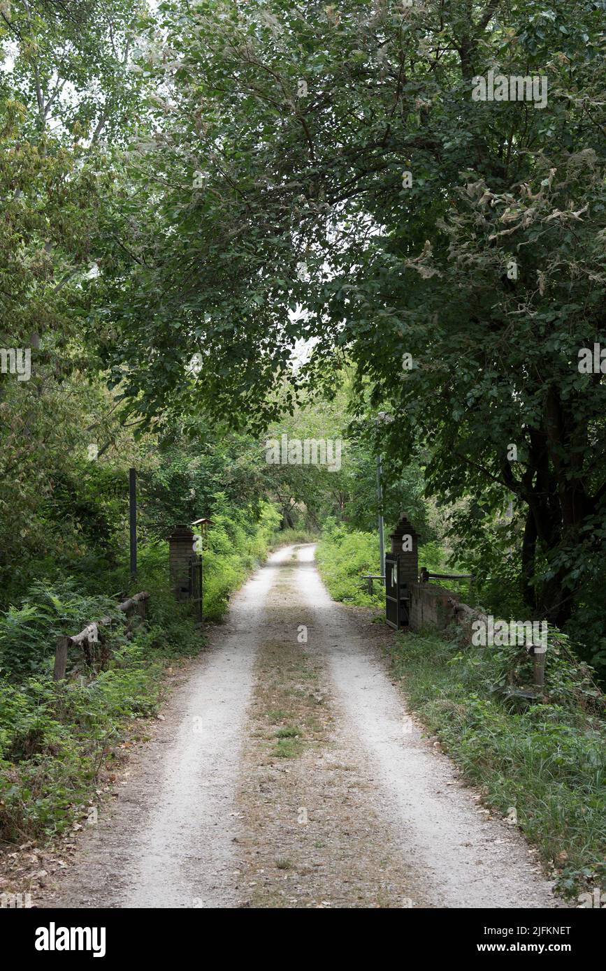 The uncontaminated nature of the Le Bine oasisalberi Stock Photo - Alamy