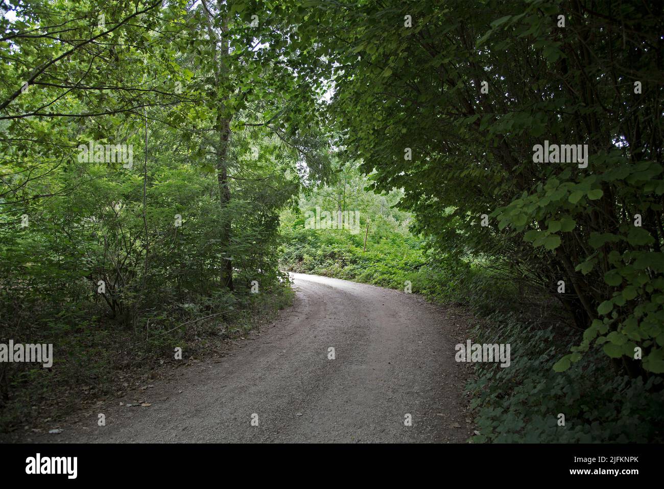 The uncontaminated nature of the Le Bine oasisalberi Stock Photo - Alamy