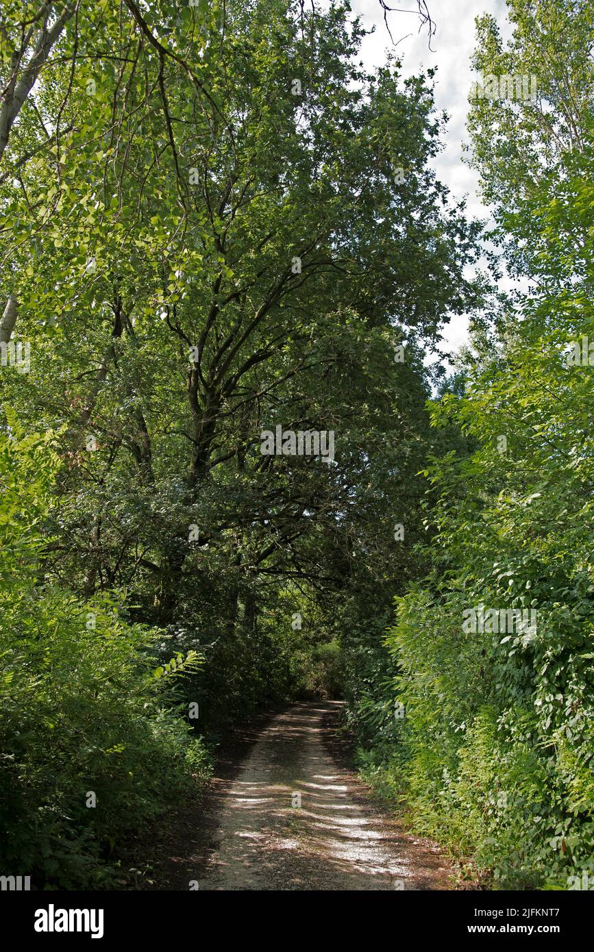 The uncontaminated nature of the Le Bine oasis Stock Photo - Alamy