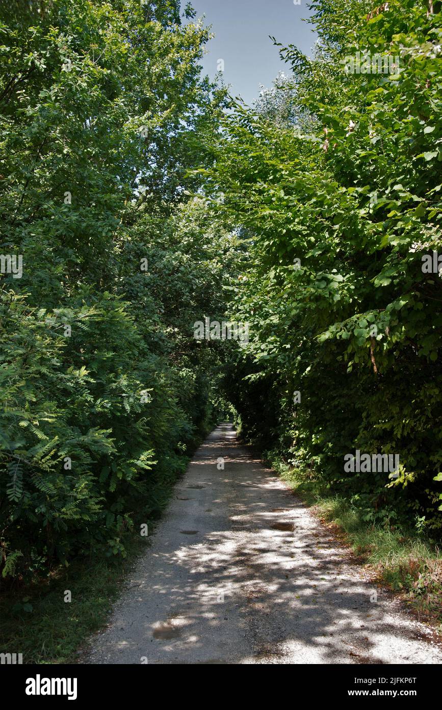The uncontaminated nature of the Le Bine oasis Stock Photo - Alamy