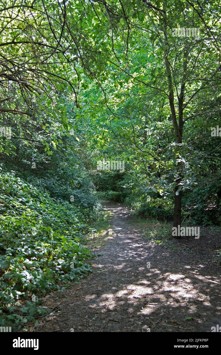 The uncontaminated nature of the Le Bine oasis Stock Photo - Alamy