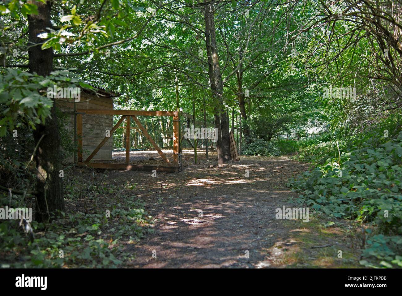 The uncontaminated nature of the Le Bine oasis Stock Photo - Alamy