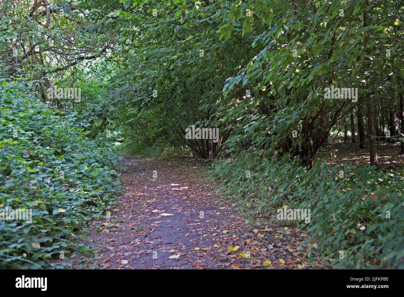 The uncontaminated nature of the Le Bine oasis Stock Photo - Alamy