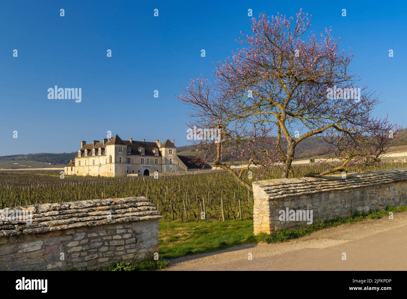 Known as clos vougeot hi-res stock photography and images - Alamy