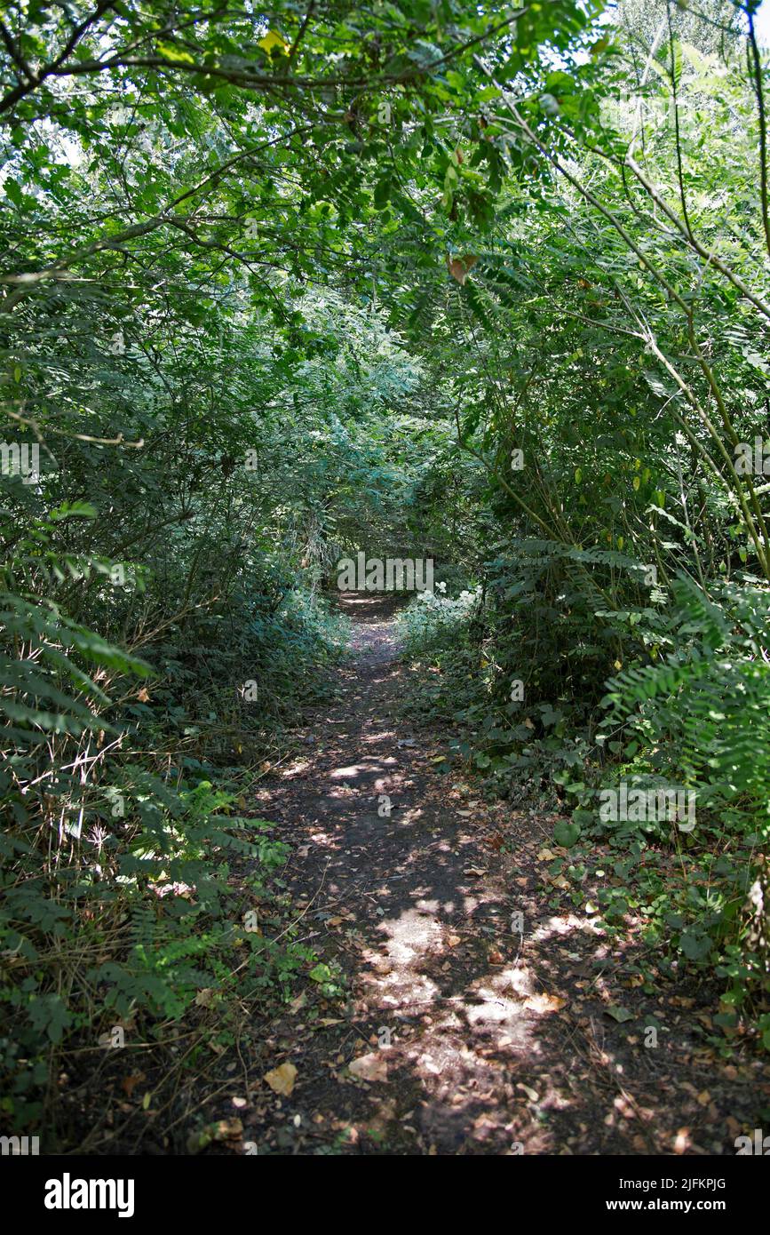 The uncontaminated nature of the Le Bine oasis Stock Photo - Alamy