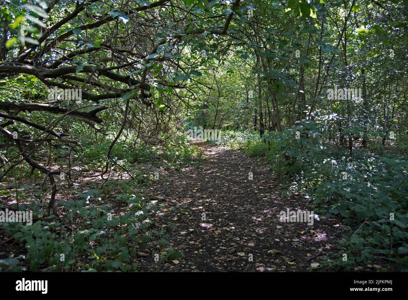 The uncontaminated nature of the Le Bine oasis Stock Photo - Alamy