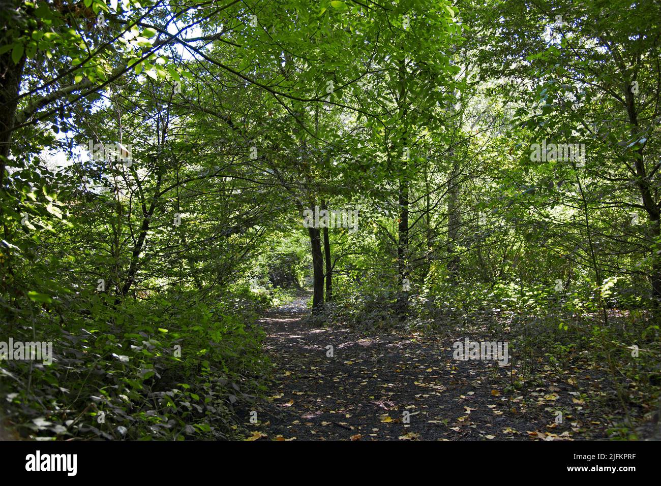 The uncontaminated nature of the Le Bine oasis Stock Photo - Alamy