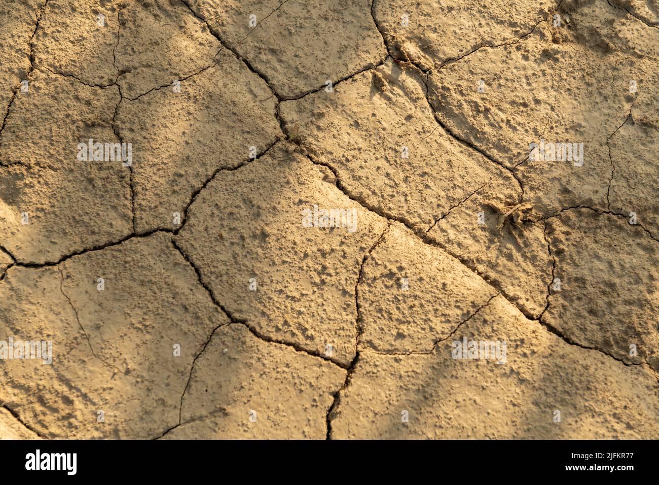 Cracked arid soil texture background. Texture of the earth during ...