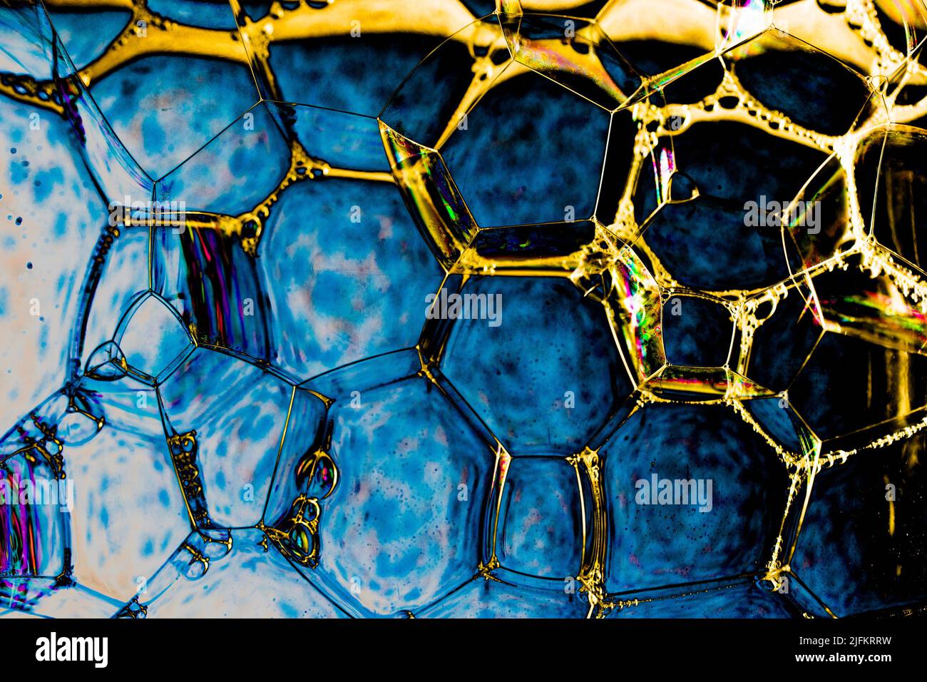 Bubble form structure hi-res stock photography and images - Alamy