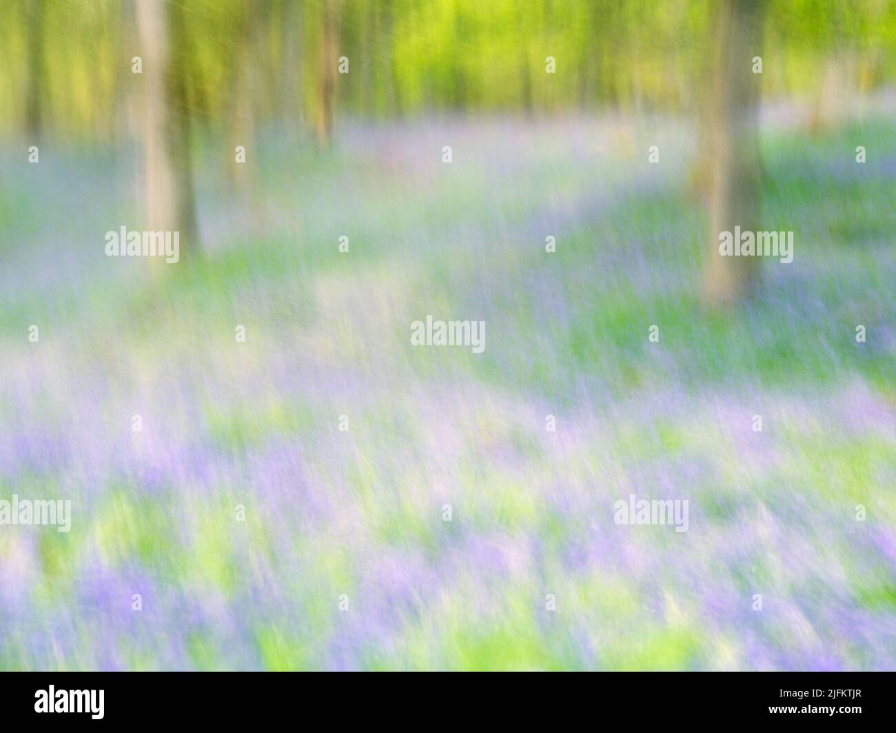 Kinclaven hi-res stock photography and images - Alamy
