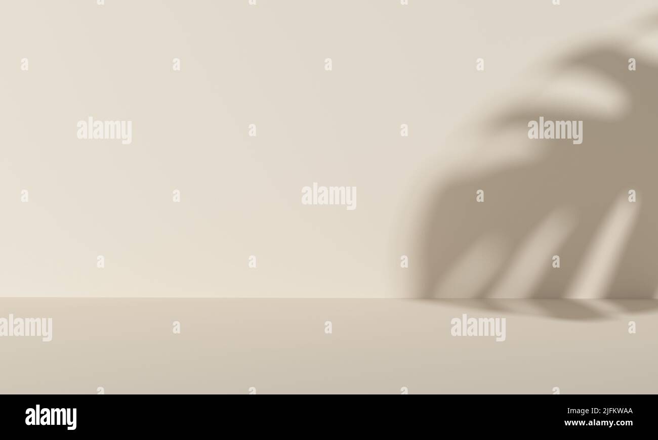 Minimalist studio with natural light on mojo background for product ...